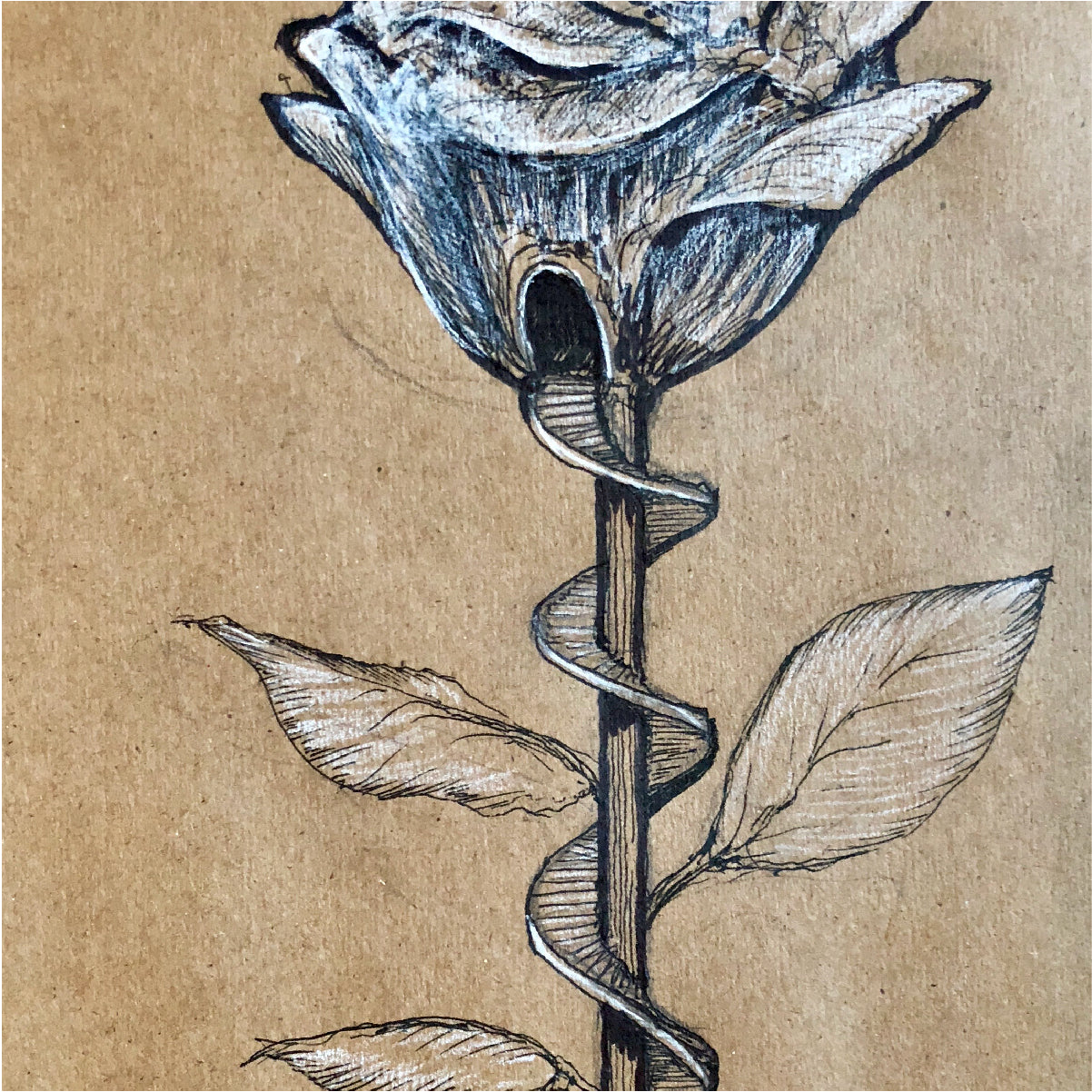 love letters - rose staircase – Moonlight Arts Collective