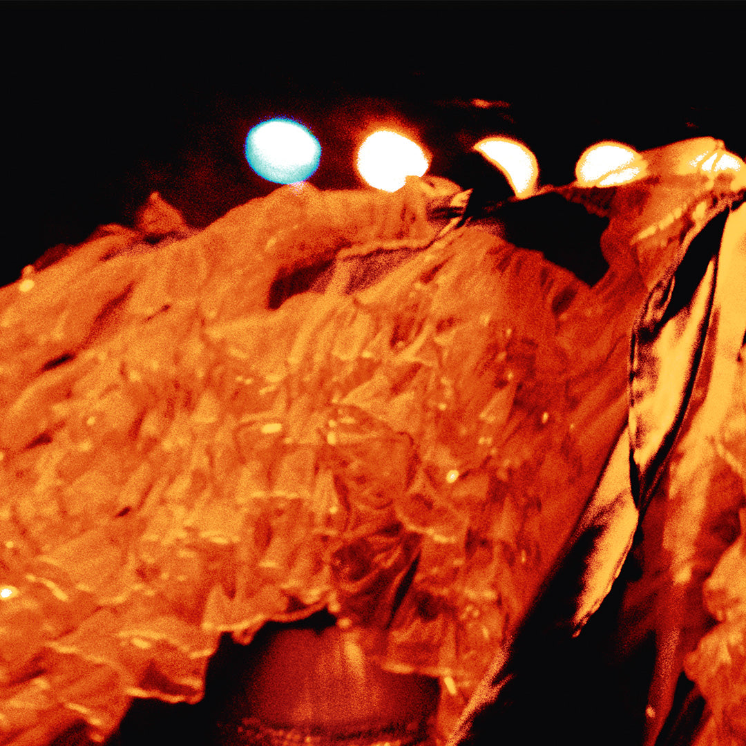 legs - 12 x 8 inch edition – Moonlight Arts Collective