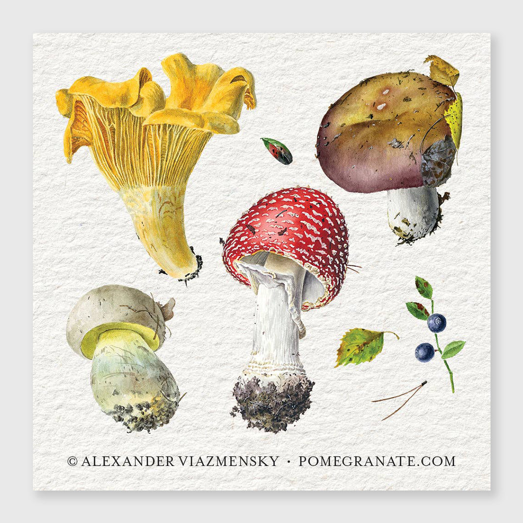 mushrooms memory game – Moonlight Arts Collective