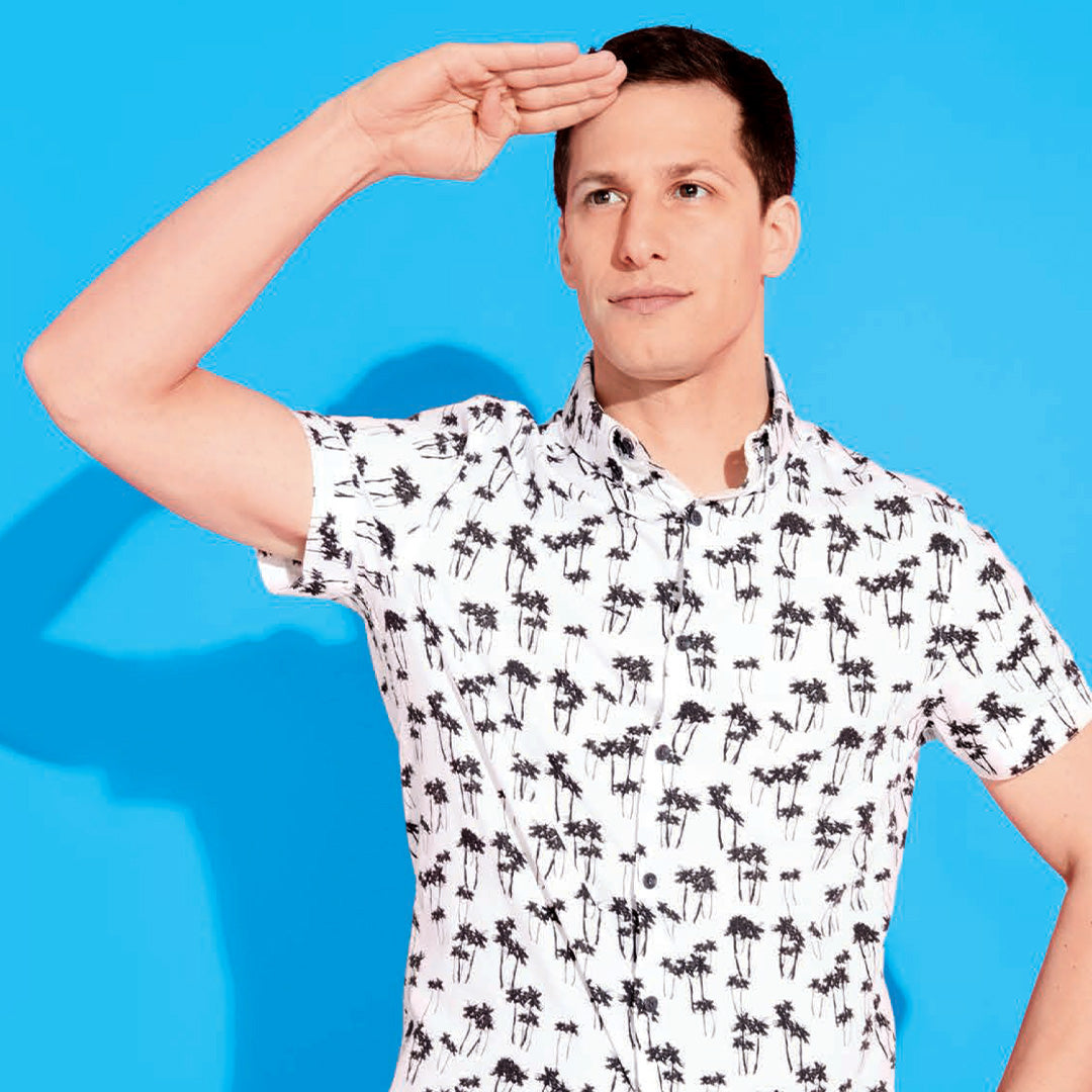 andy samberg, los angeles ca - 15 x 20 inch edition – Moonlight Arts ...