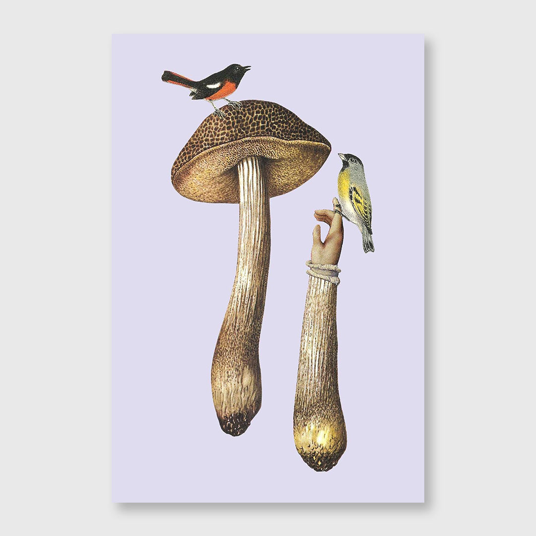 art of nature: fungi boxed card set – Moonlight Arts Collective