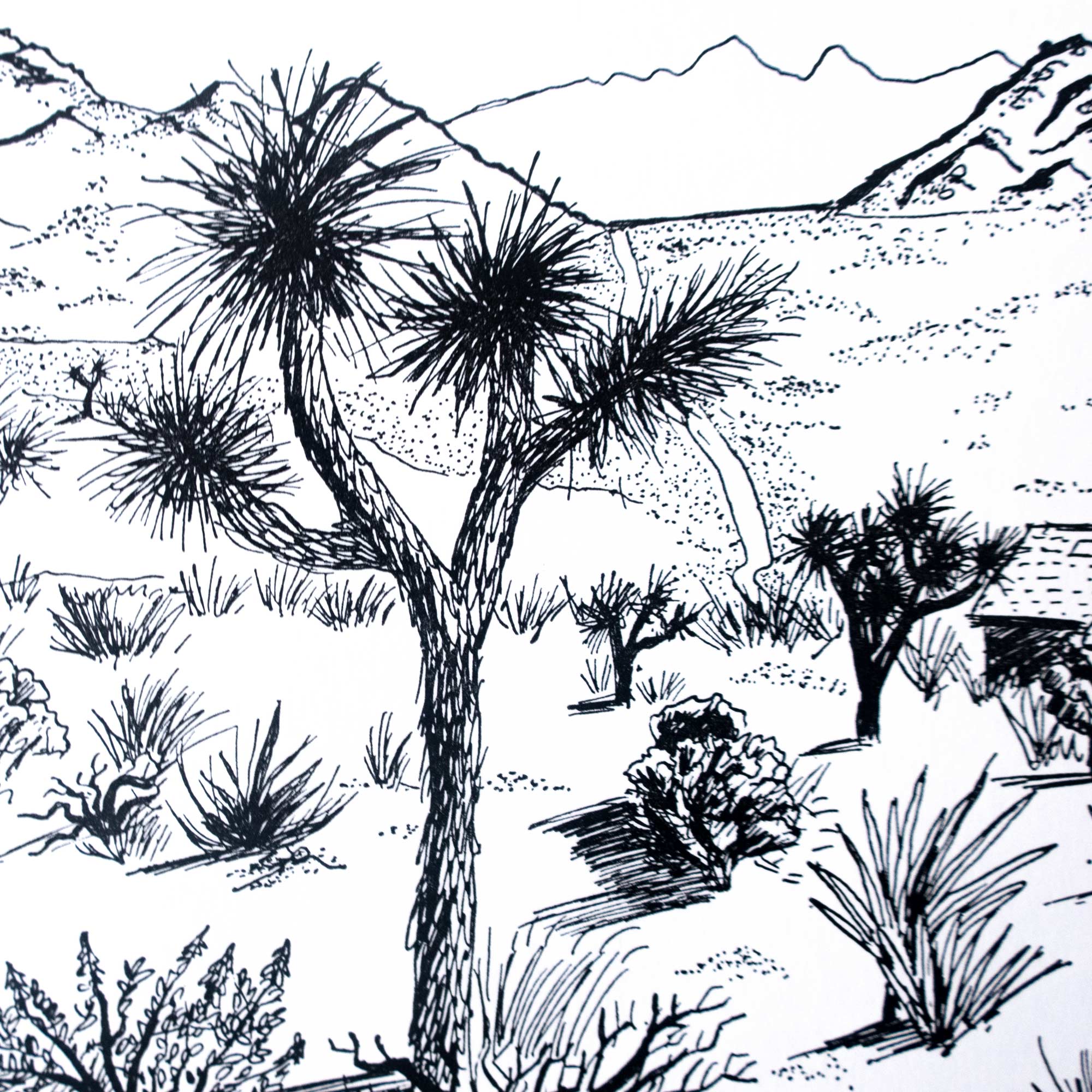 goodbye, joshua tree - standard edition - signed edition print ...